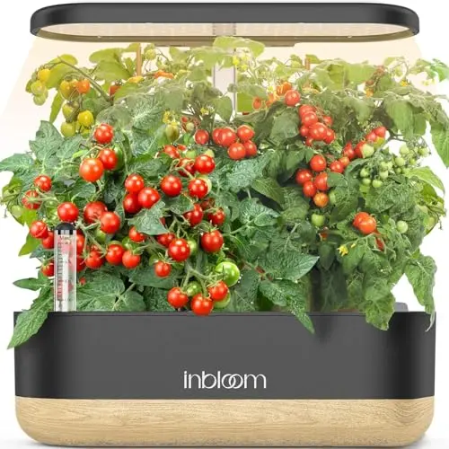 Best inbloom Indoor Growing Kit: Hydroponics System vs Lion's Mane ...