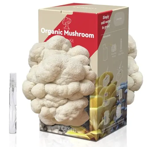 Best inbloom Indoor Growing Kit: Hydroponics System vs Lion's Mane ...
