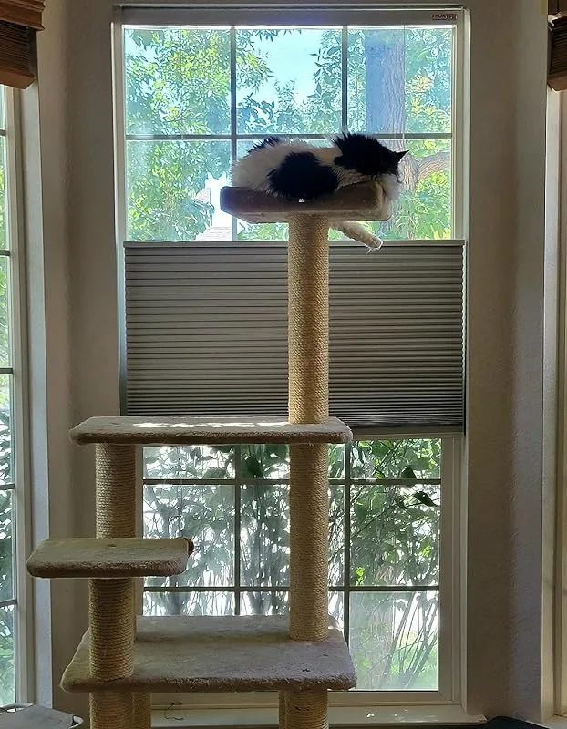 I Tested And Reviewed 10 Best Top Down Bottom Up Blinds (2026) - Posh ...